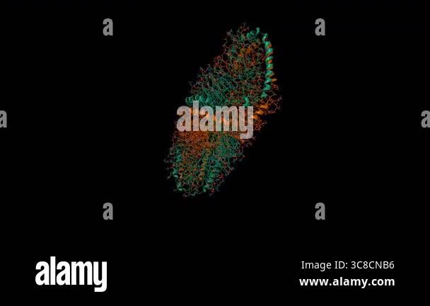 Cholesterol molecular structure lipid Stock Videos & Footage - HD and ...