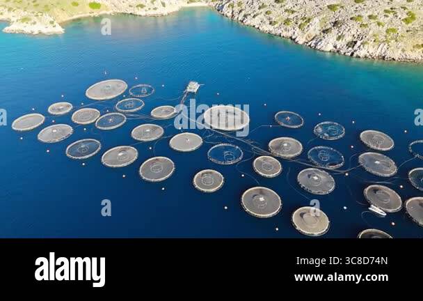 Modern offshore aquaculture facility cultivating salmon fish in net ...