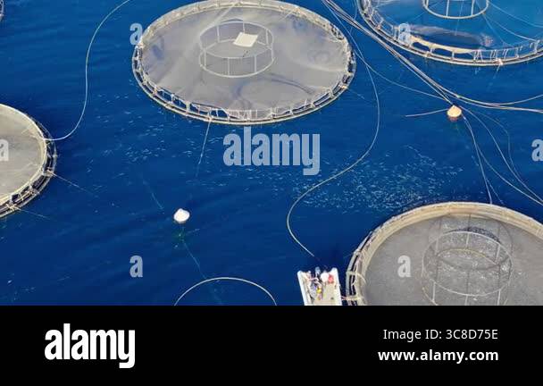 Offshore aquaculture fish farm with round net cages for salmon ...