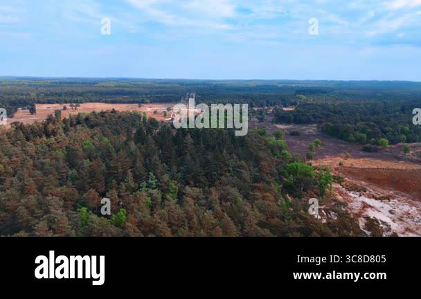 Dutch Nature Landscape Showcase. Sweeping views of the Netherlands ...