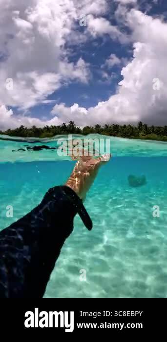 An outstretched hand gestures underwater in Bora Bora, with a clear ...