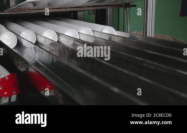 Plastic container production line showcasing thermoforming process ...