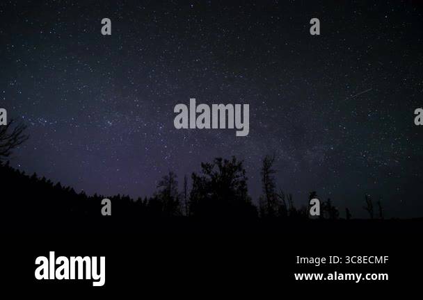 Starry night sky above a dark forest landscape, many artificial ...