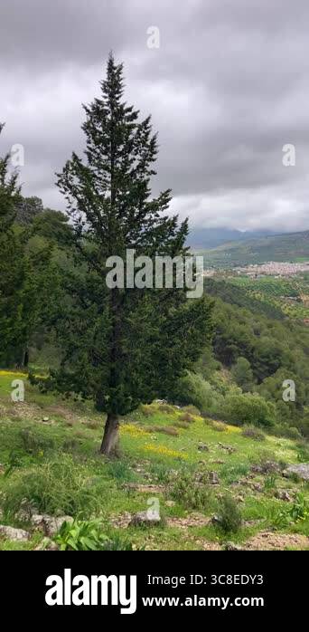 Guarda Forestal viewpoint is natural area of great scenic beauty ...