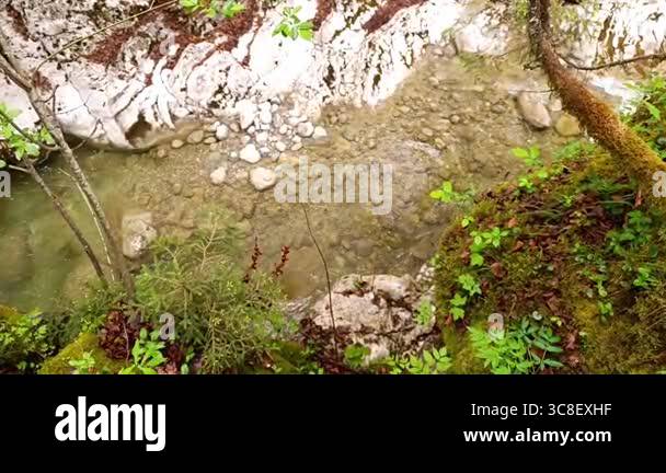 Enjoy the tranquil beauty of a rocky stream flowing through a vibrant ...