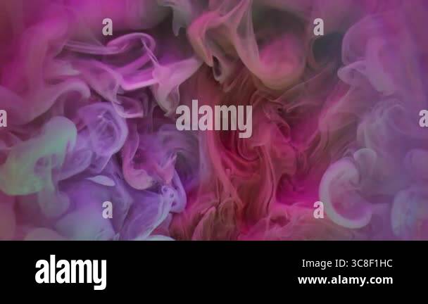 Smoke twist. Colorful wave. Pink purple violet defocused wet mix fume ...