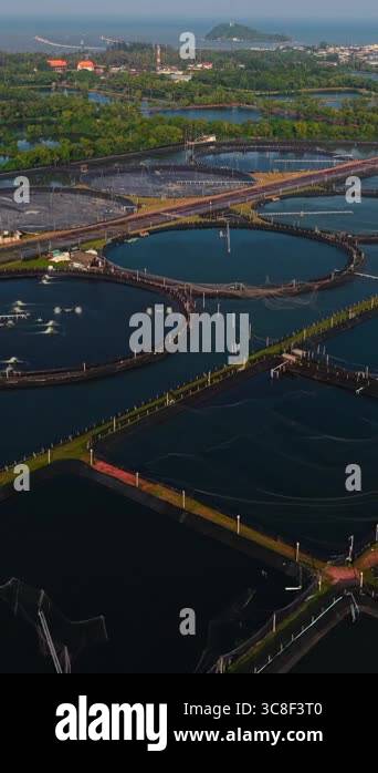 Vertical aerial view circular Stock Videos & Footage - HD and 4K Video ...