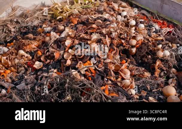 Food and organic waste on a compost pile on a sunny day close-up. High ...