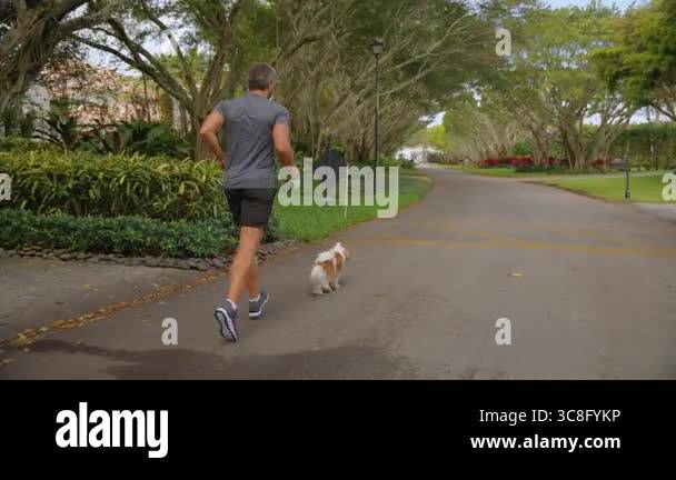 Sportsman runner running, slow motion. Morning sport routine. Man and ...