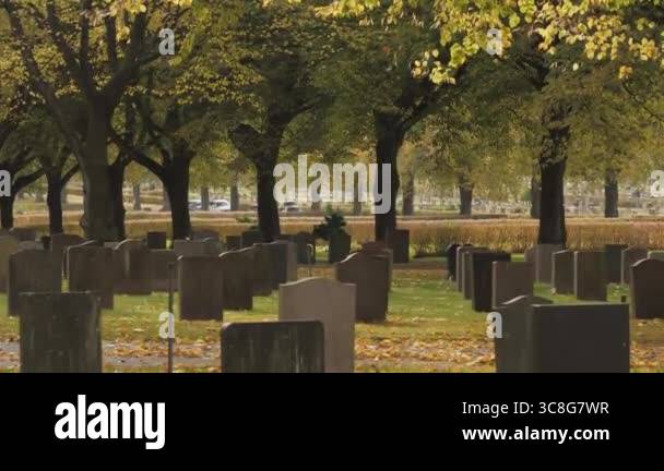 Idyllic Nordic Cemetery With Falling Leaves at Autumn, Fall Foliage ...