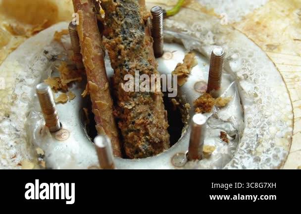 Corrosion and mineral deposits on the heating element of an electric ...