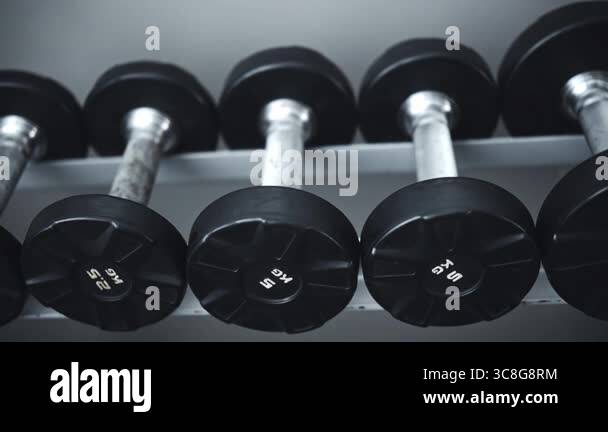 Row Of Weights In The Gym, Equipment For Bodybuilding And Strength ...