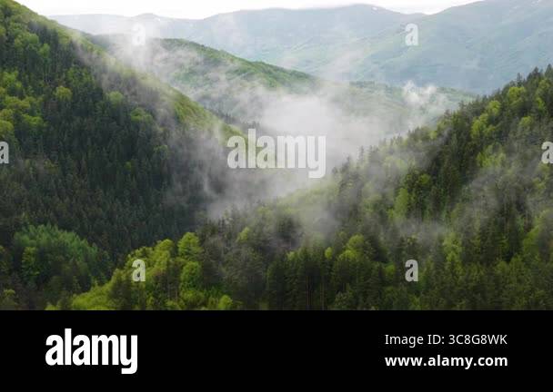 Misty spring morning Stock Videos & Footage - HD and 4K Video Clips - Alamy