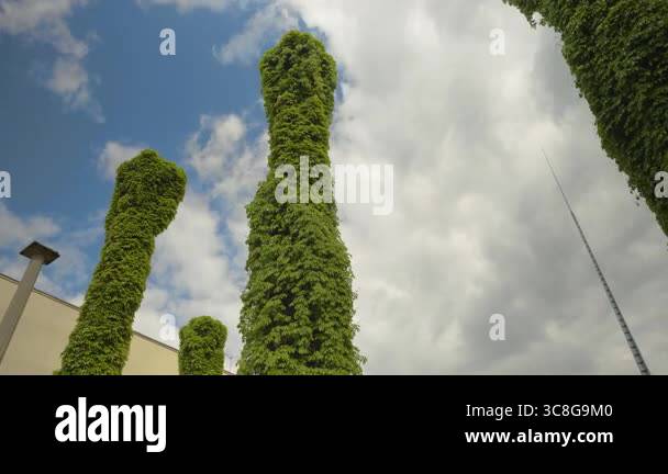 Low-angle footage of tall architectural columns covered in dense green ...