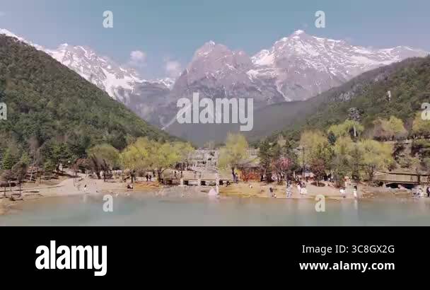 Slow-motion close-up: Beautiful butterfly is flying above flowers and ...