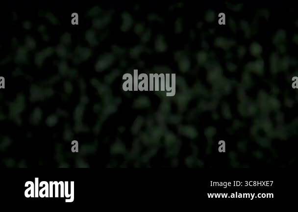 A dark and blurred abstract image featuring indistinct green patterns ...