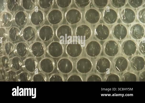 An image capturing the texture of transparent bubble wrap, highlighting ...