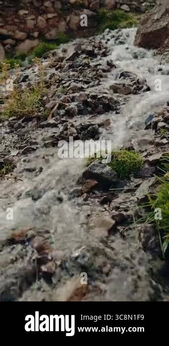A clear mountain stream flows over rocks and through green grass. The ...