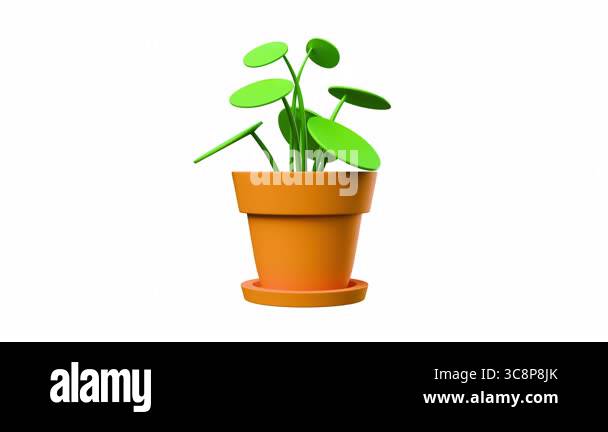 Small plant in a pot turning isolated on a white background 3d looping ...
