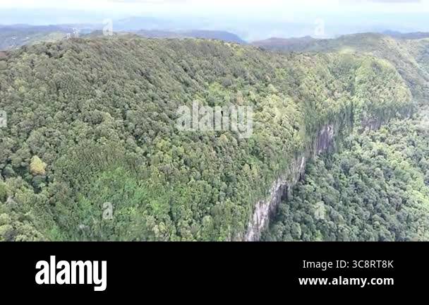Aerial view over Rainforest from Best Of All lookout at the Springbrook ...