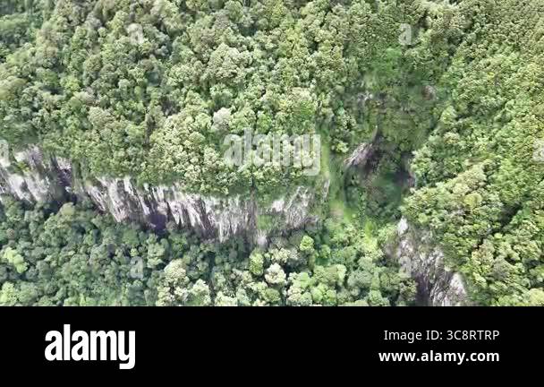 Aerial view over Rainforest from Best Of All lookout at the Springbrook ...