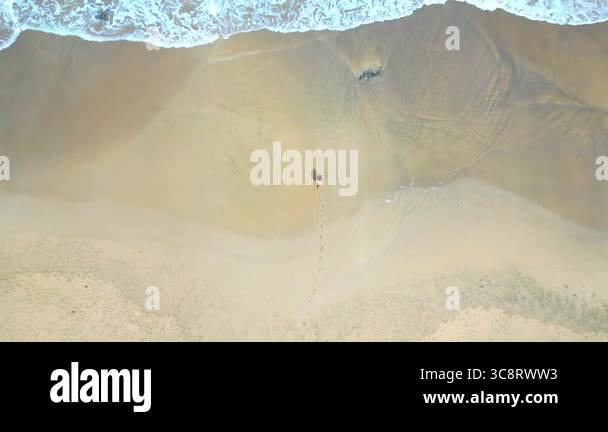 Top aerial drone view of woman walking on the sandy and rocky shores of ...