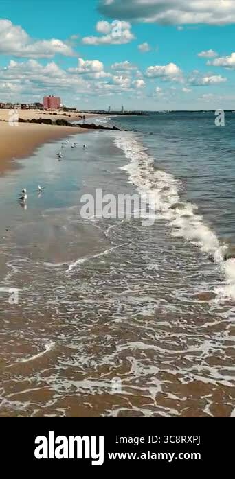 Sunny Beachfront with Waves and Seagulls. Beautiful sandy beach with ...