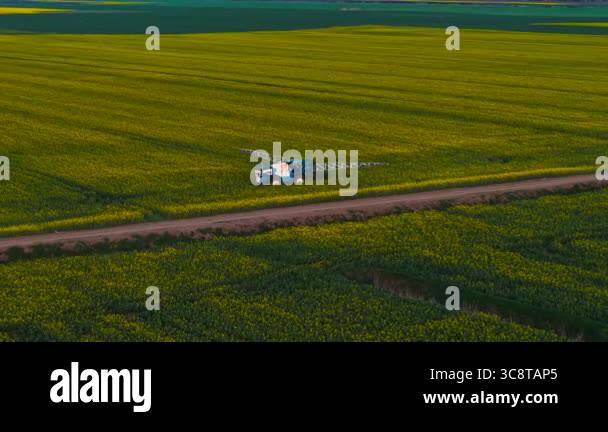 Tractor spraying pesticides on wide blooming canola field in rural ...