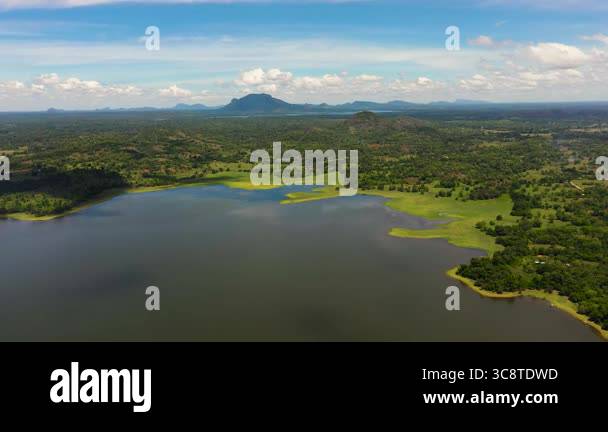 Aerial view of tropical landscape with lake and valley with tropical ...