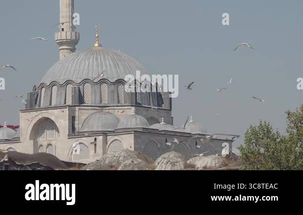 Beautiful mosque architecture with birds soaring in the clear sky Stock ...