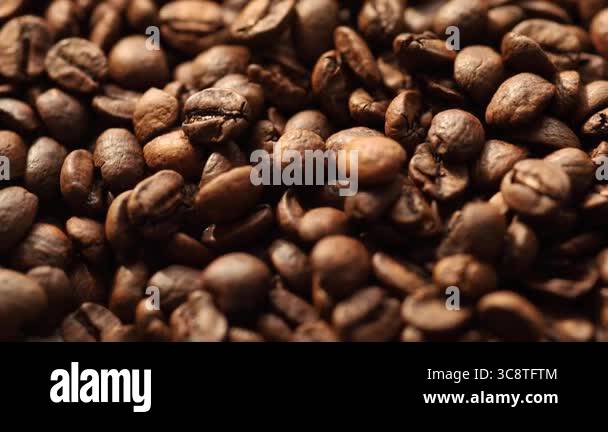 Close-Up of Roasted Coffee Beans Under Warm Light in a Calm and ...