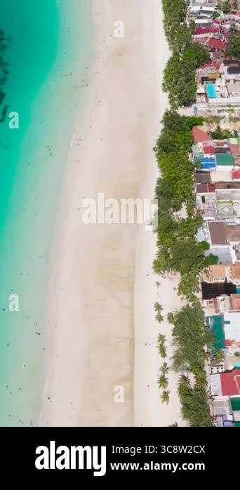 Top view of powdery white sand and coconut trees in coastline. Boracay ...
