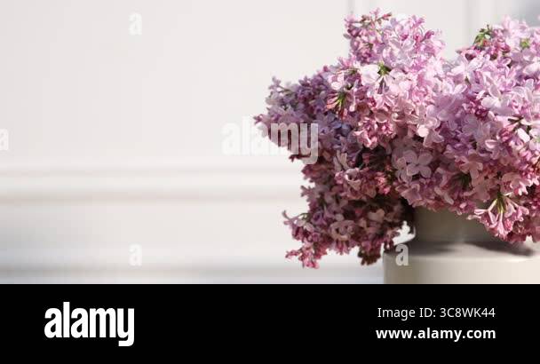Lilac book Stock Videos & Footage - HD and 4K Video Clips - Alamy