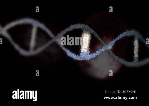 The DNA chain rotates in a helix.This video make a perfect concept for ...