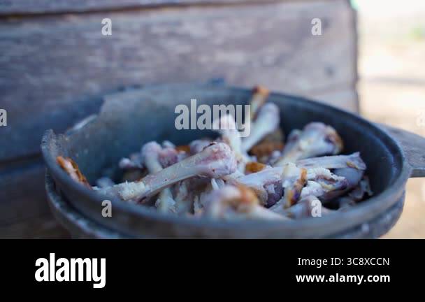 Chicken bones in a dog feeder, close-up. High quality FullHD footage ...