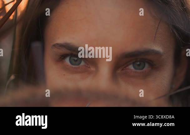 Vibrant image showcasing natural Stock Videos & Footage - HD and 4K ...