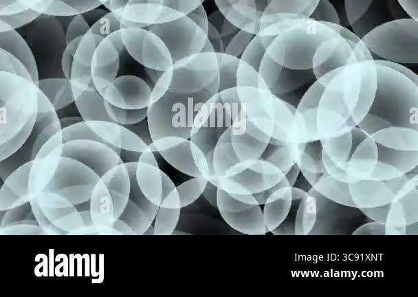 White and gray bubbles floating animation loop. Seamless slow-rising ...