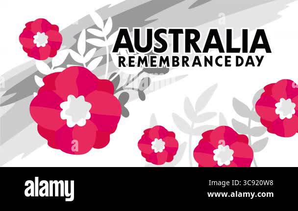 happy australia remembrance day with beautiful roses Stock Video ...
