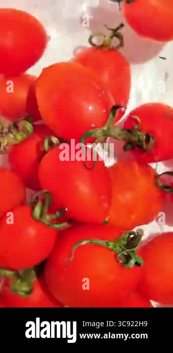 Cherry tomatoes in water in motion close-up on a light background Stock ...