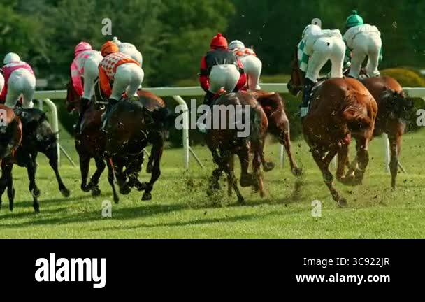 Winning super Stock Videos & Footage - HD and 4K Video Clips - Alamy