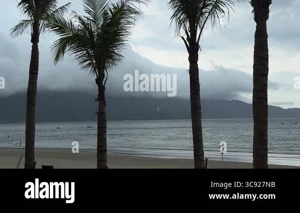 Cinematic video drone flies to sea through two palm trees at night ...