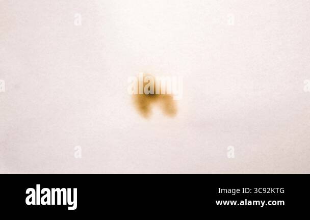 Film burn video transitions. Animated paper burning on fire background ...