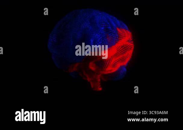 3D Hollow Brain Model Made of Points Rotating Left to Right with ...