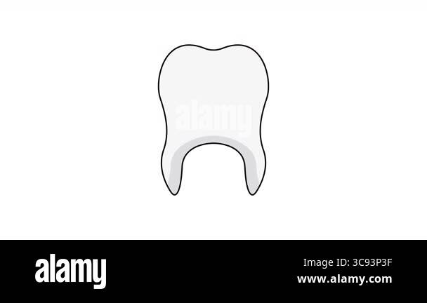 Tooth Icon Animation. 4k Animation With Alpha Channel And Transparent ...