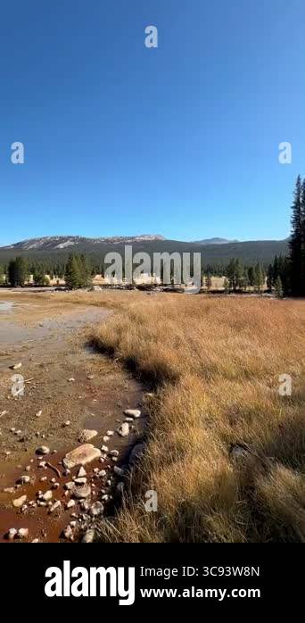 Natural Soda Springs in High Meadow (Yosemite National Park, California ...