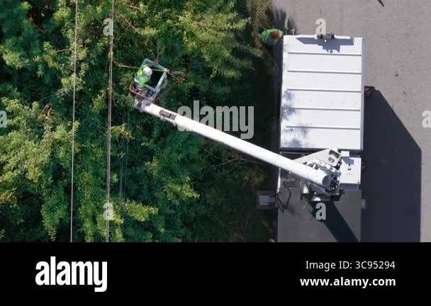 Worker in lift truck trimming tree around power lines. Maintenance of ...