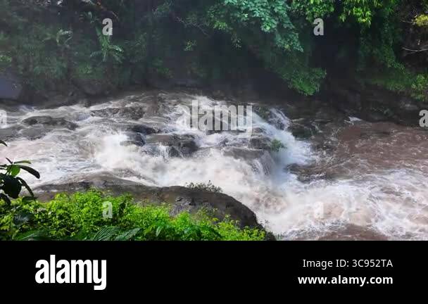 The nature of the waterfall in the forest that flows strongly during ...