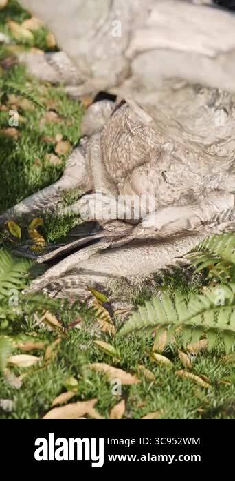 Looping 3D Animation of Grass Growing from Dead Tree Trunk. Nature ...