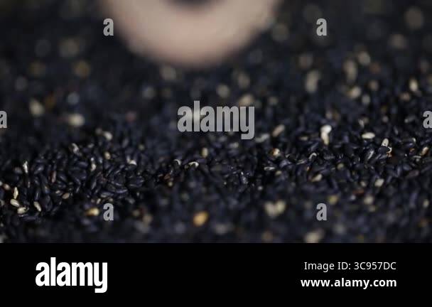 Seeds sesame Stock Videos & Footage - HD and 4K Video Clips - Alamy