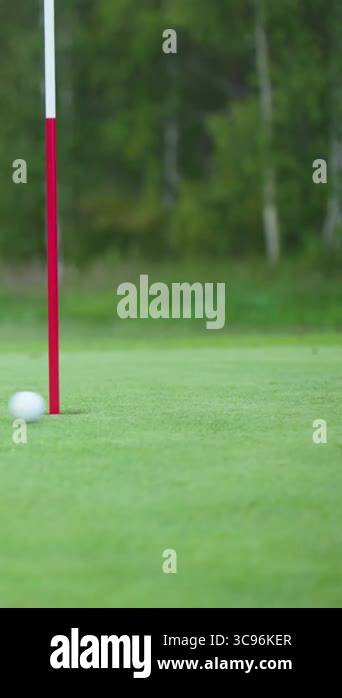 VERTICAL VIDEO: White golf ball rolling smoothly across the lush green ...